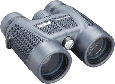 6 Best Binoculars for Duck Hunting - BinocularsRadar