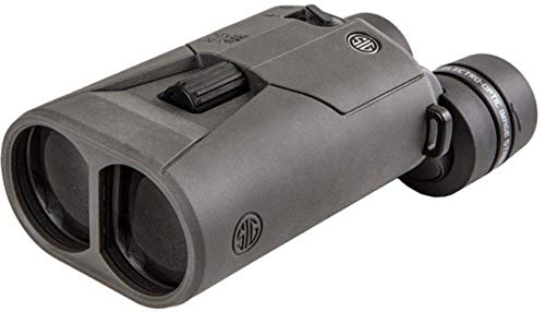 7 Best Image Stabilized Binoculars for Boating - BinocularsRadar