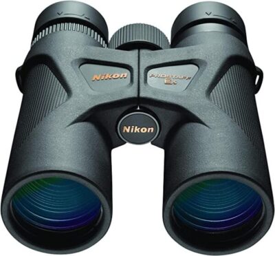 8 Best Nikon Binoculars for Wildlife Viewing - BinocularsRadar