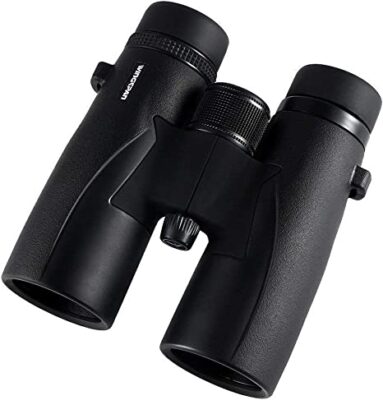8 Best Lightweight Binoculars - BinocularsRadar
