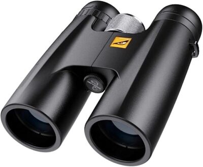 8 Best Budget Binoculars for Wildlife Viewing - BinocularsRadar